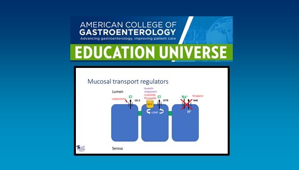 Chronic Constipation: Work-Up & Treatment: Video of Week | ACG